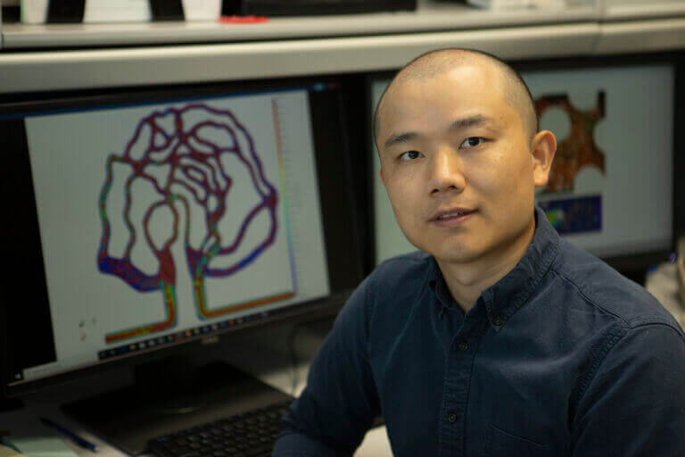 Research on human circulatory system earns Tan $507,000 CAREER grant ...